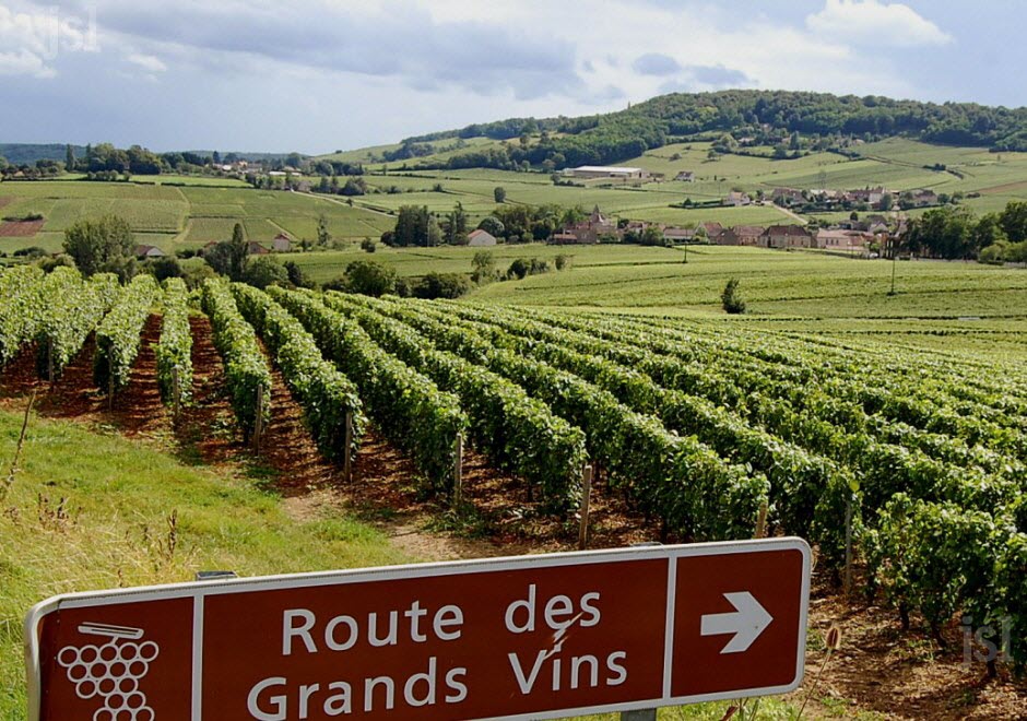 Arpentez les routes des vins de France et d'Europe