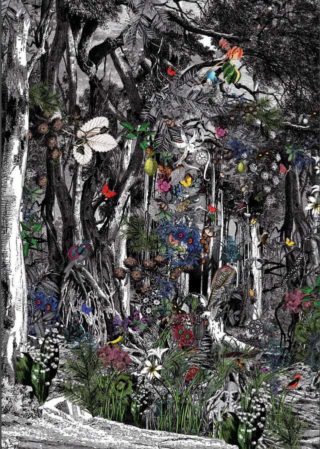 The Blazing Mister Sam, Collection Portraits Penhaligon's - test & avis