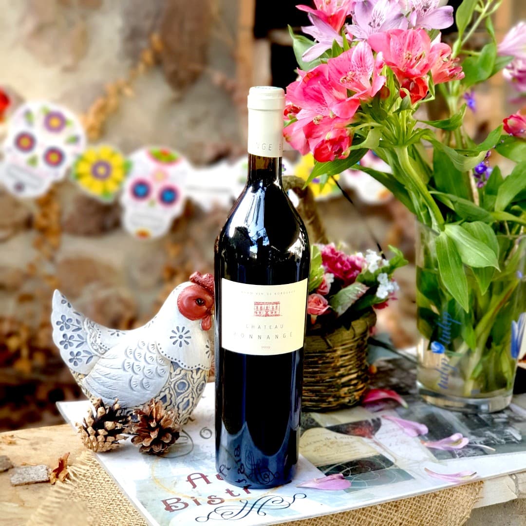 Vins fins novembre 2022 : 6 cuvées confidentielles à découvrir