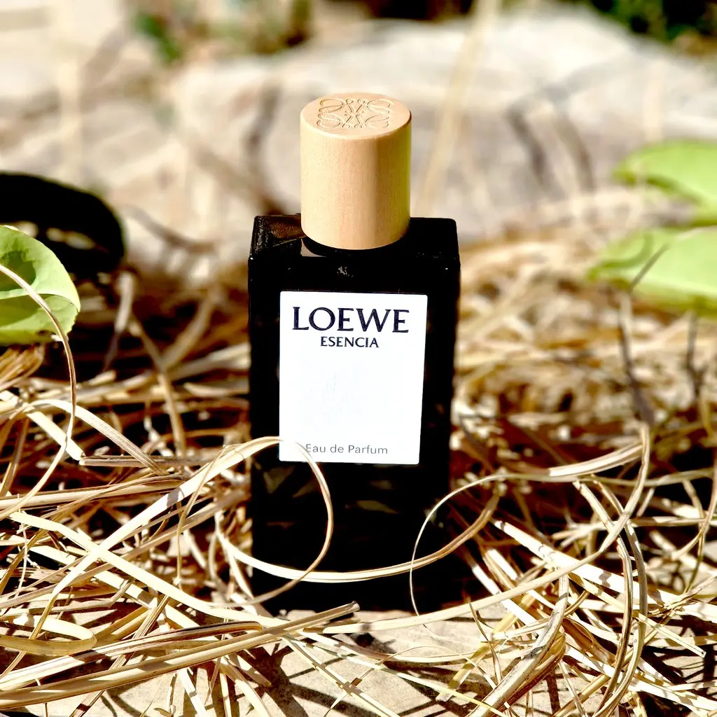 Loewe Esencia Eau de Parfum : jus boisé & épicé iconique [avis]