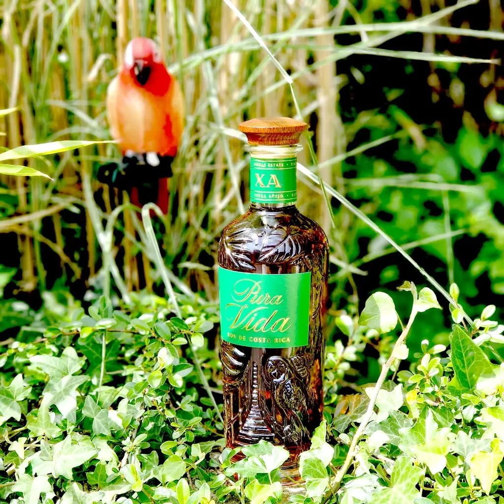 Pura Vida XA : Rhum Costa Rica Premium à moins de 40 € [Avis]